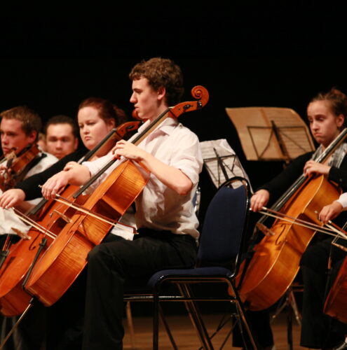 Suzuki Music Victoria - Suzuki Method